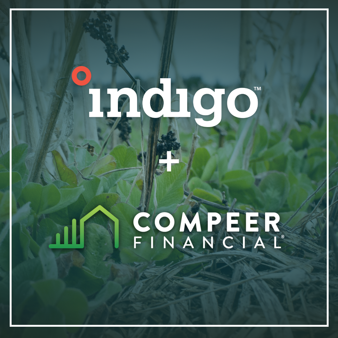 Collaboration on Carbon Initiative - Compeer