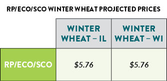 Weighing MCO and ECO Endorsements for Crop Insurance in 2026 - Compeer